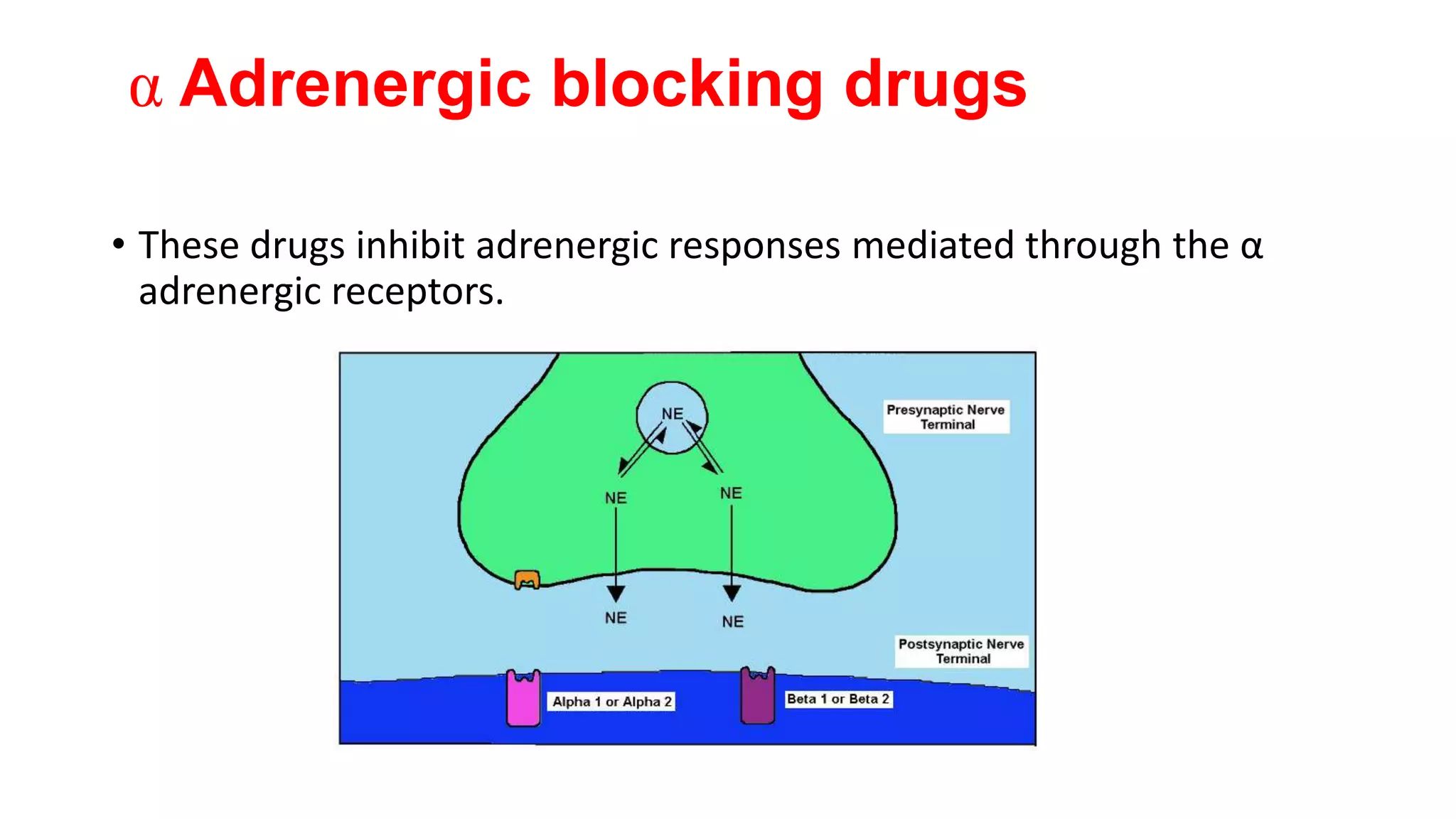 Alpha blockers | PPTX