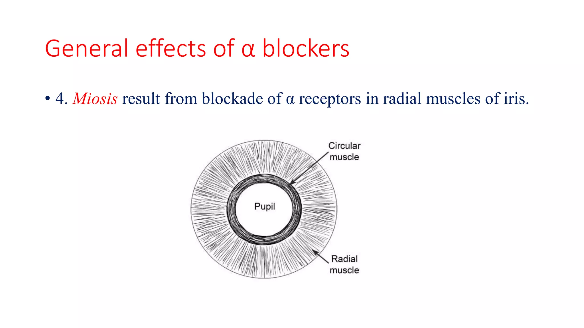 Alpha blockers | PPTX