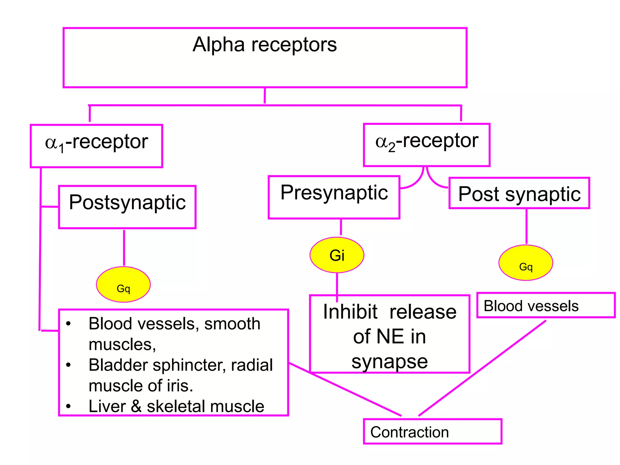 Alpha blockers | PPT