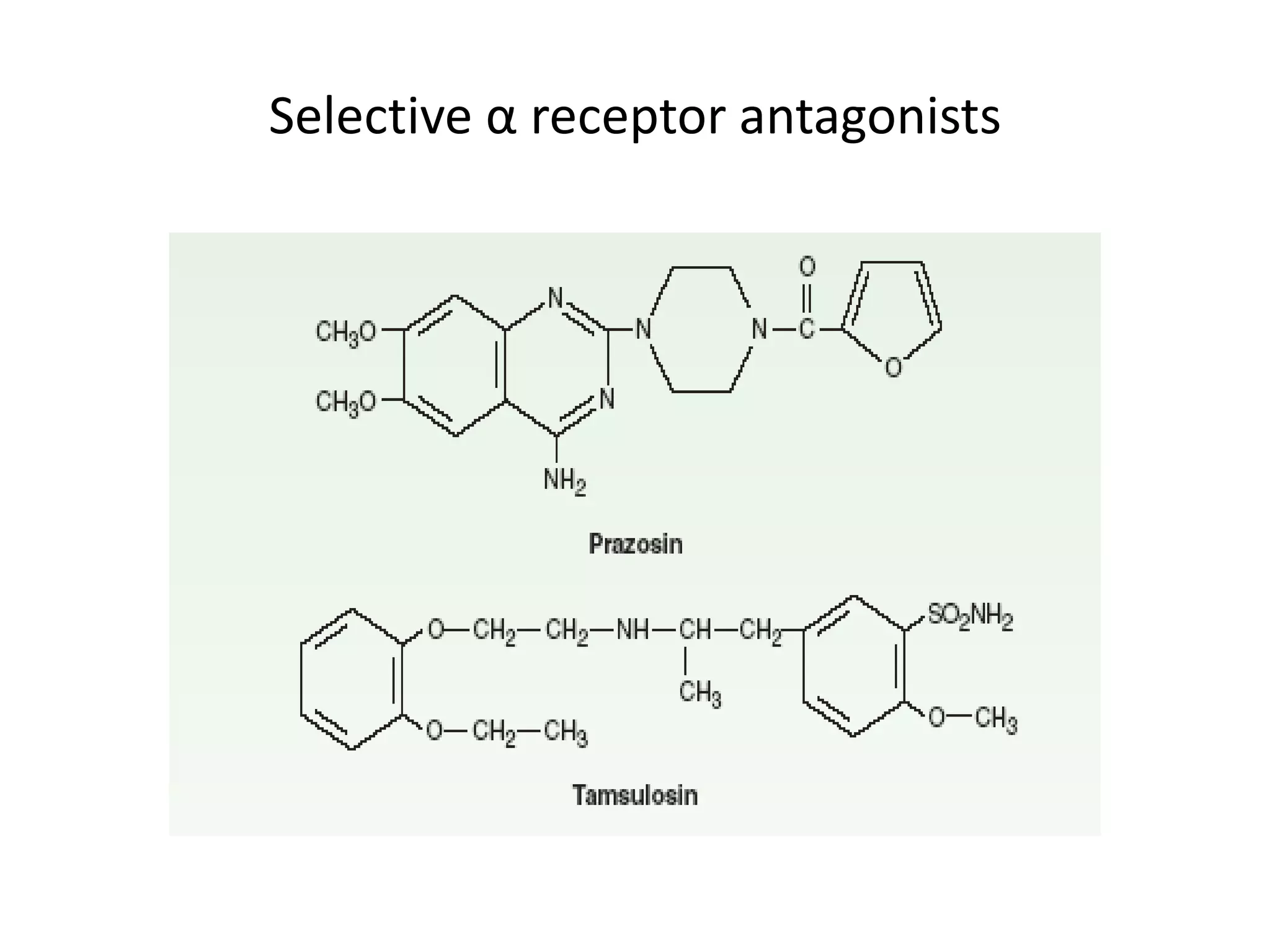 Alpha blockers | PPT | Heart and Cardiovascular Diseases | Diseases and ...