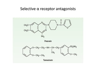 Alpha blockers | PPT | Heart and Cardiovascular Diseases | Diseases and ...