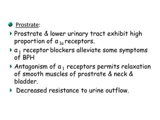 Alpha blockers | PPT | Heart and Cardiovascular Diseases | Diseases and ...