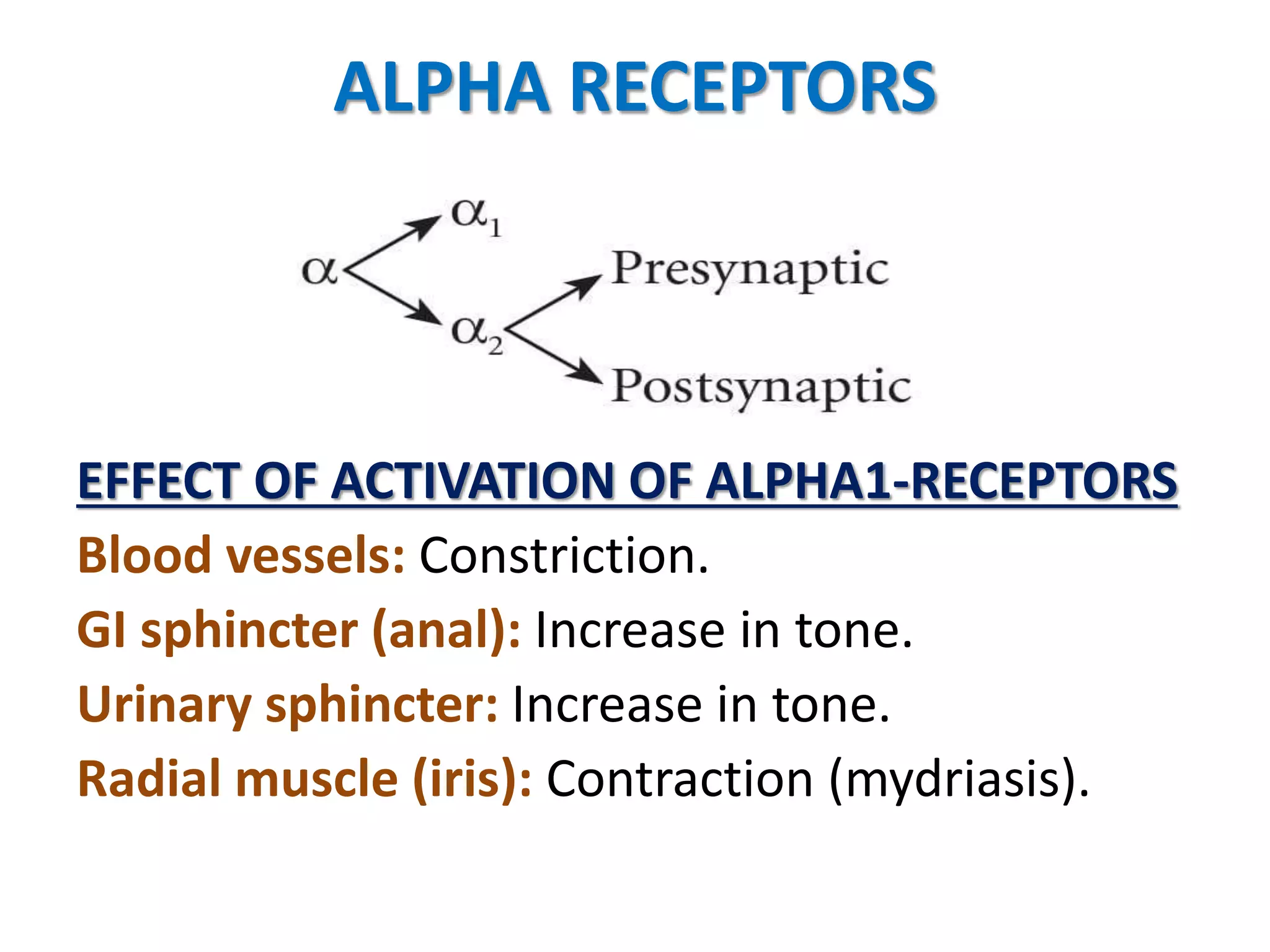 Alpha blockers PHARMACOLOGY | PPTX