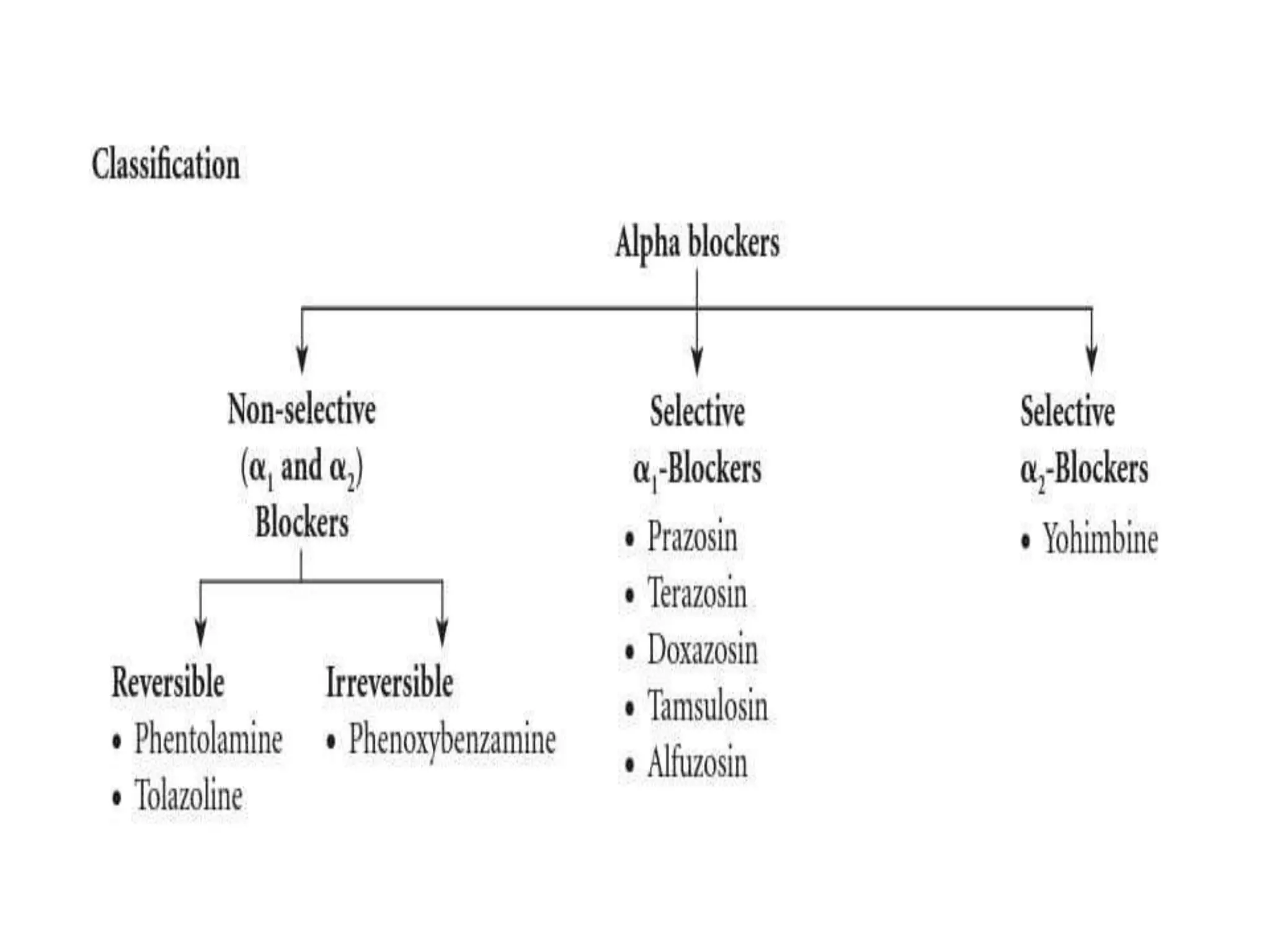 Alpha blockers PHARMACOLOGY | PPTX