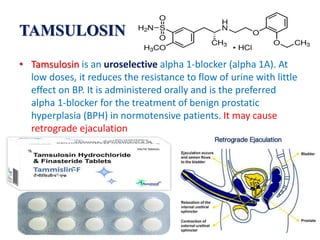 Alpha blockers PHARMACOLOGY | PPTX