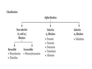 Alpha blockers PHARMACOLOGY | PPTX