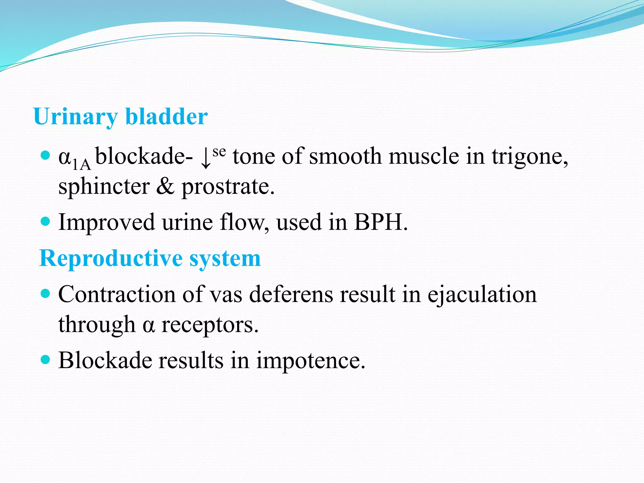 Alpha Blockers Class Pptx