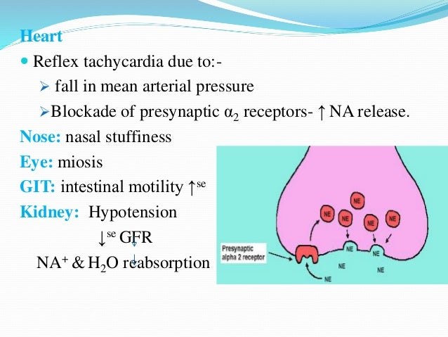 Alpha blockers class