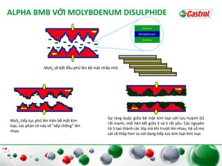 Alpha BMB.pdf