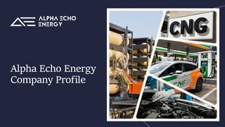 Alpha Echo Energy Ltd_Company Profile.pdf