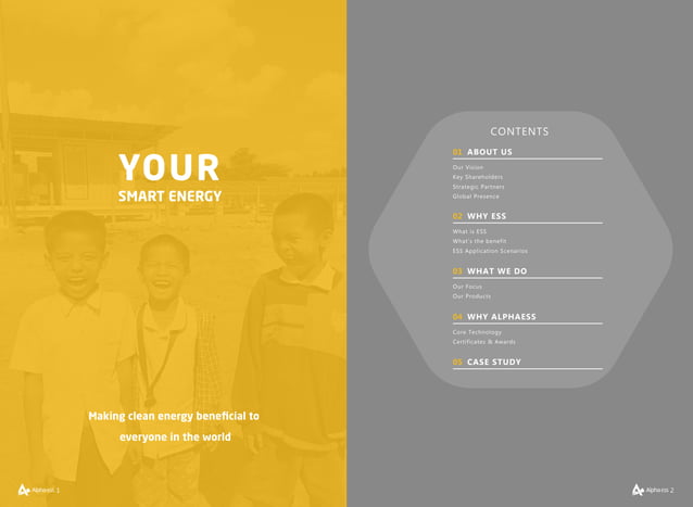 Alpha ess brochure_global_2020 | PDF | Gas and Electric | Home Utilities