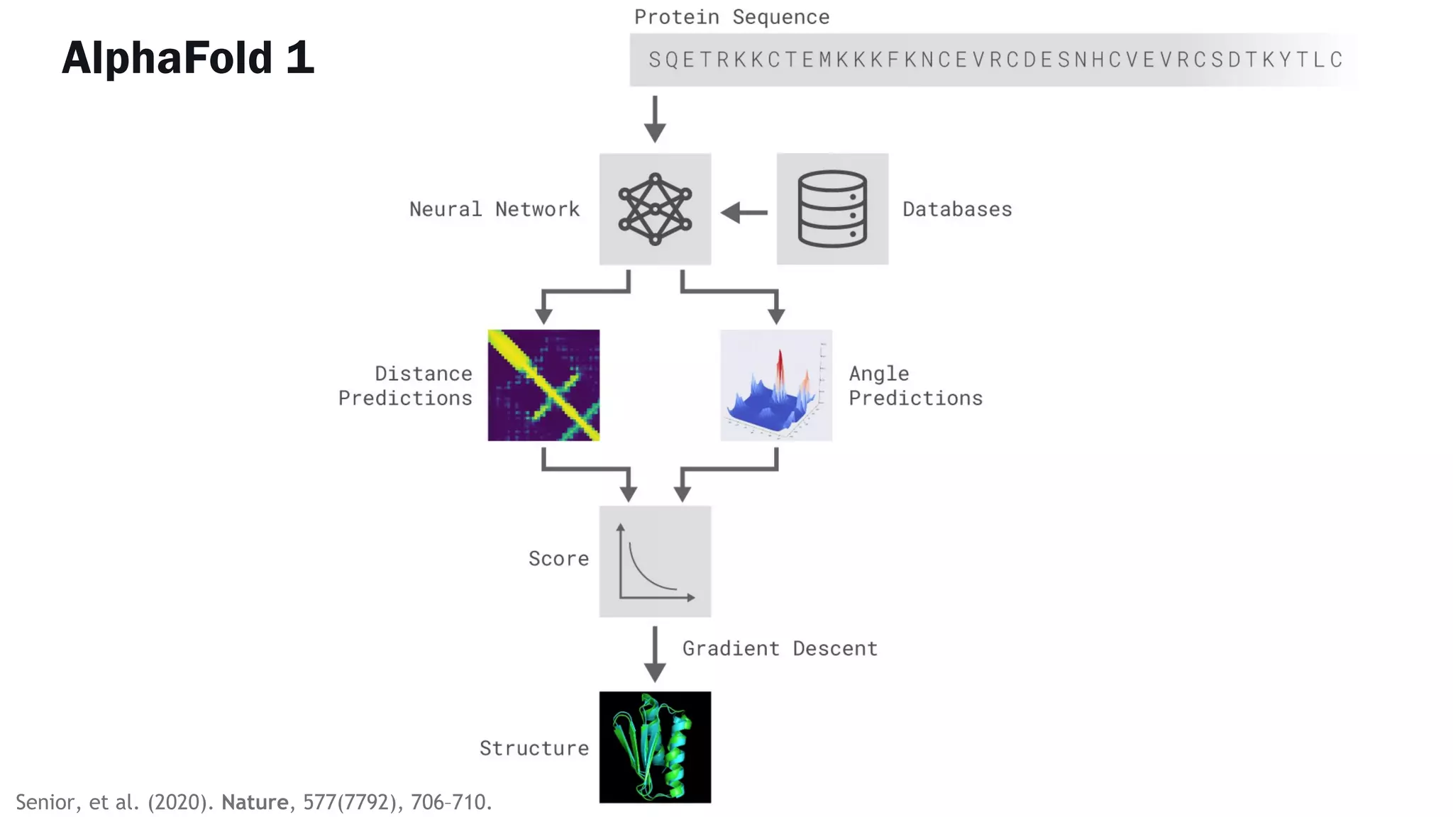 Protein Folding Prediction Using Alphafold 1 Pdf Databases Computer Software And Applications