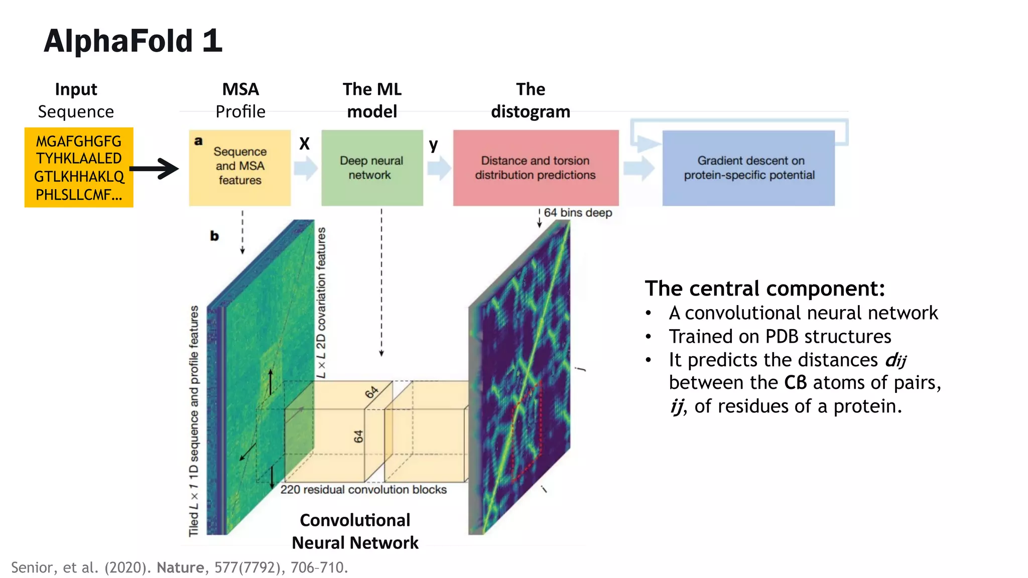 Protein Folding Prediction Using Alphafold 1 Pdf Databases Computer Software And Applications
