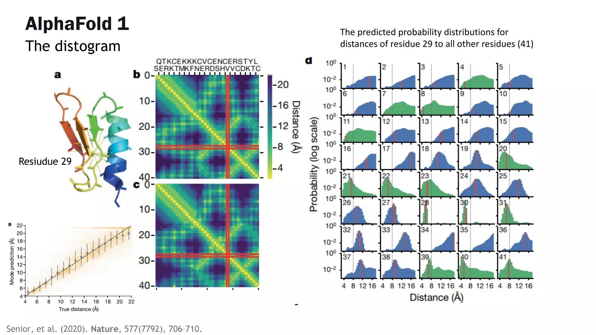 Protein folding prediction using Alphafold 1 | PDF