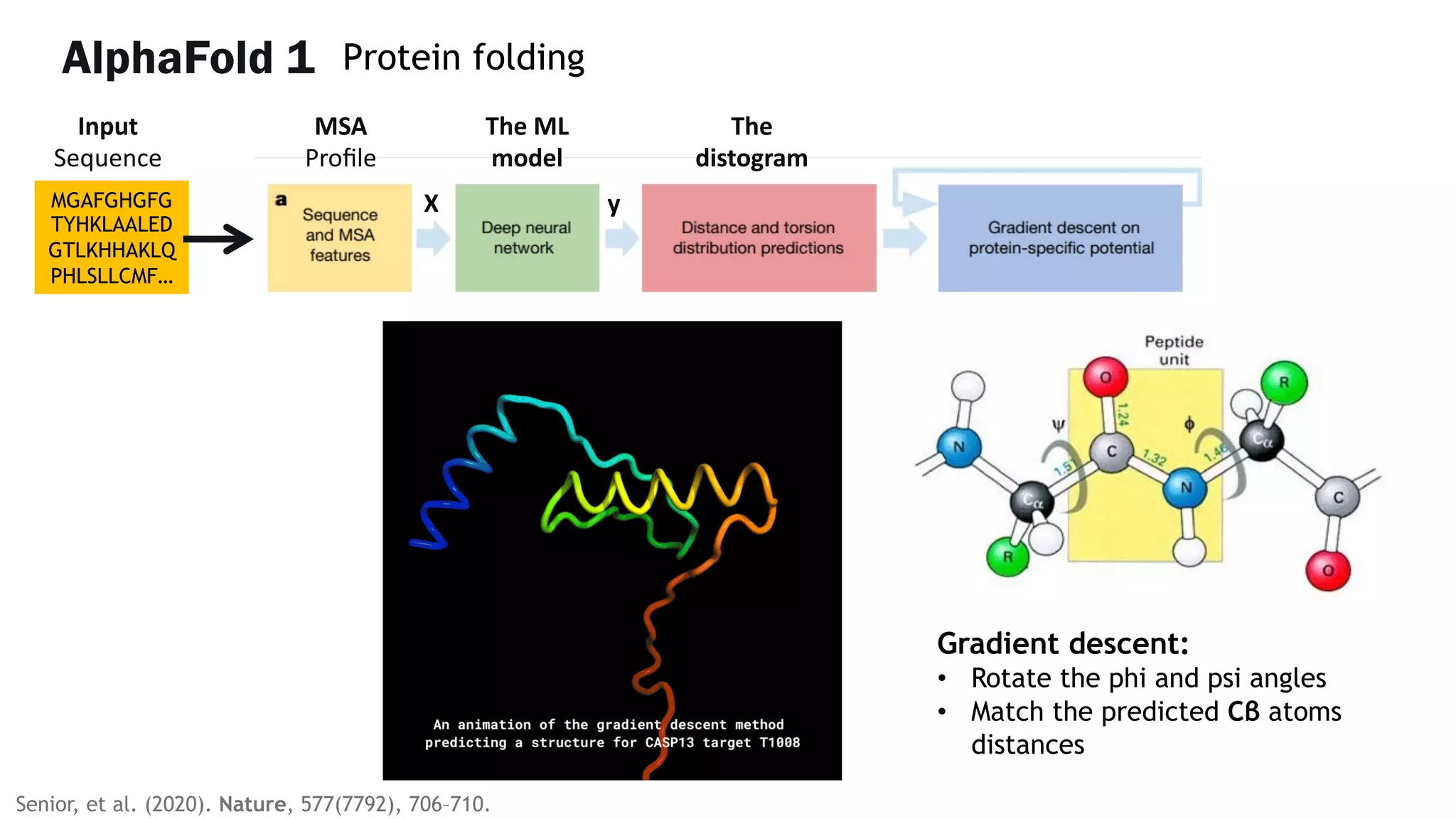 Protein Folding Prediction Using Alphafold 1 Pdf Databases Computer Software And Applications
