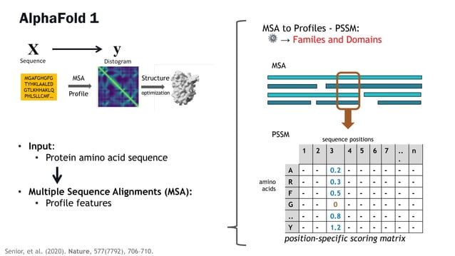Protein folding prediction using Alphafold 1 | PDF | Databases | Computer Software and Applications