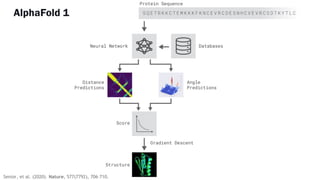 Protein folding prediction using Alphafold 1 | PDF