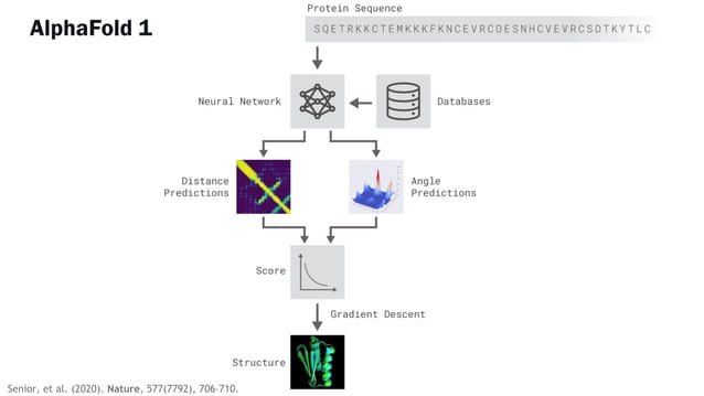 Protein folding prediction using Alphafold 1 | PDF | Databases | Computer Software and Applications
