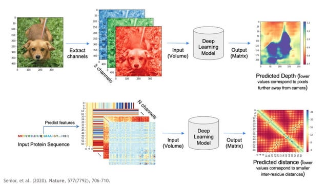 Protein folding prediction using Alphafold 1 | PDF | Databases | Computer Software and Applications