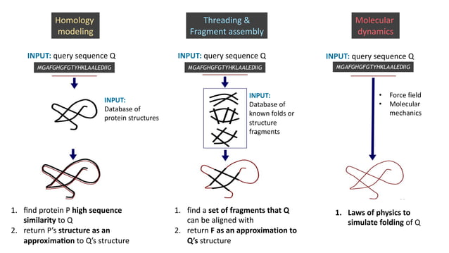 Protein folding prediction using Alphafold 1 | PDF | Databases | Computer Software and Applications