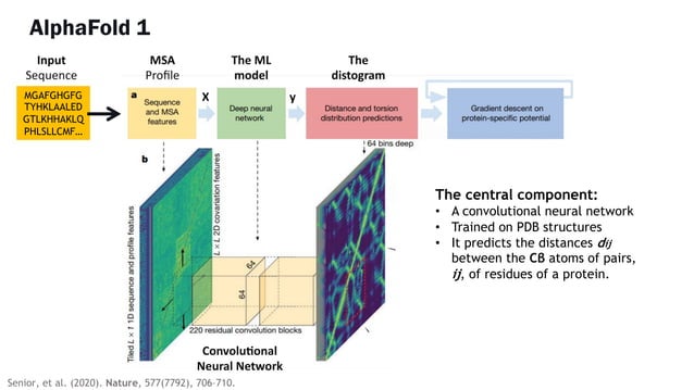 Protein folding prediction using Alphafold 1 | PPT