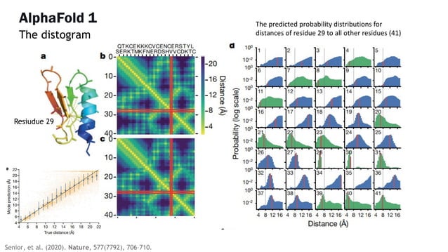Protein folding prediction using Alphafold 1 | PPT