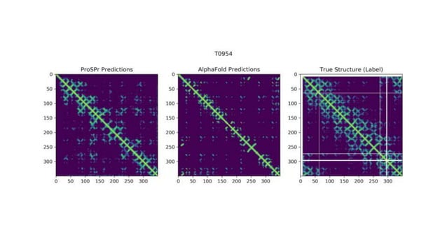 Alpha fold 2 | PPTX | Genetics | Science