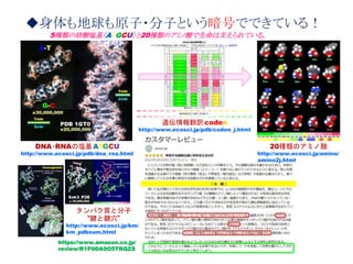 人工知能でタンパク質のカタチがわかっちゃう!? [改訂版] | PPT