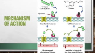 Alpha glucosidase inhibitor | PPTX
