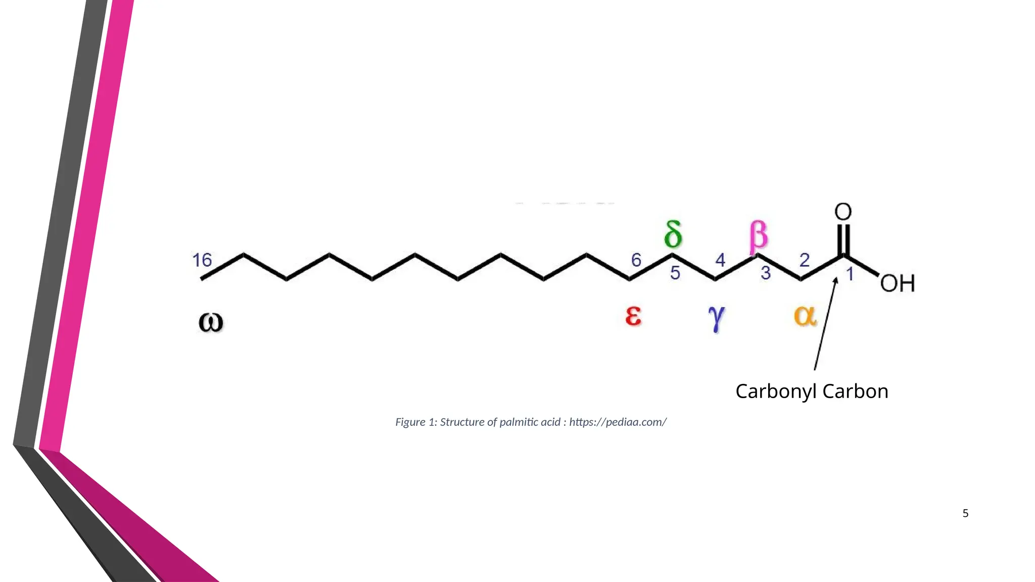 Alpha & Omega oxidation of Fatty Acid.pptx | Chemistry | Science