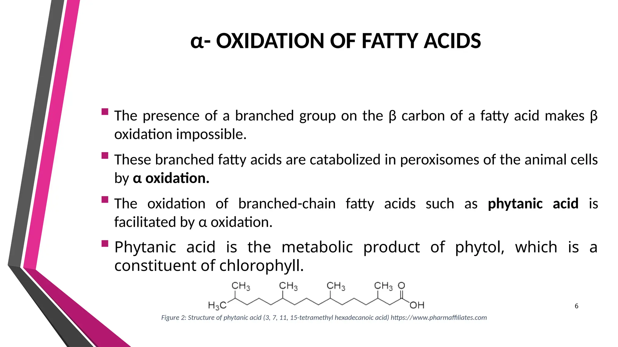 Alpha & Omega oxidation of Fatty Acid.pptx | Chemistry | Science