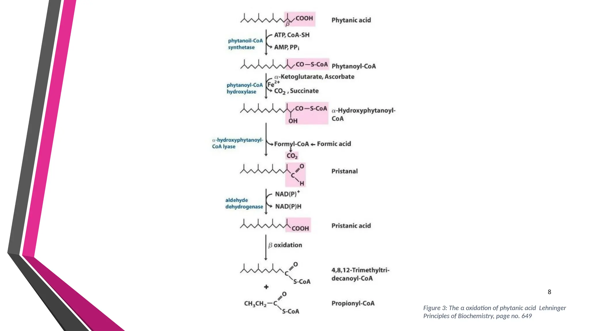 Alpha & Omega oxidation of Fatty Acid.pptx | Chemistry | Science