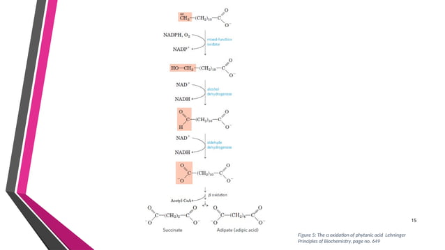 Alpha & Omega oxidation of Fatty Acid.pptx | Chemistry | Science