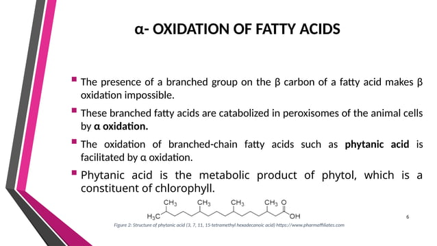 Alpha & Omega oxidation of Fatty Acid.pptx | Chemistry | Science
