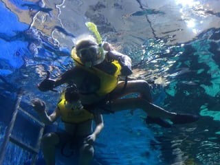 Alpharetta Mom Nathalie Bevis Family Vacation | PPT