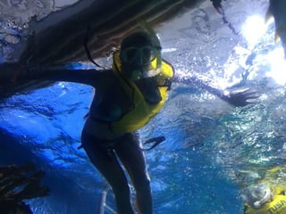 Alpharetta Mom Nathalie Bevis Family Vacation | PPT