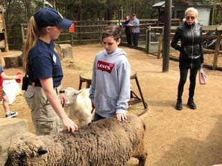 Alpharetta Mom Nathalie Bevis Family Vacation | PPT