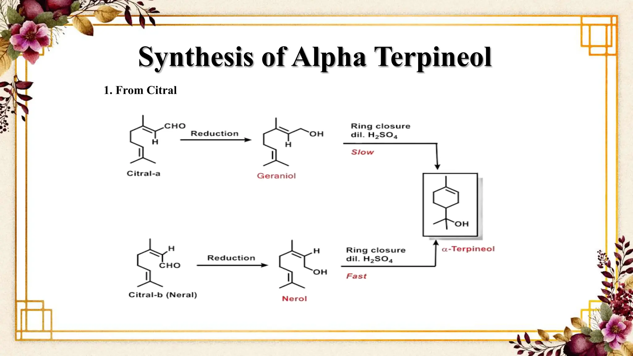 Terpineol and it's characterization pptx | PPTX