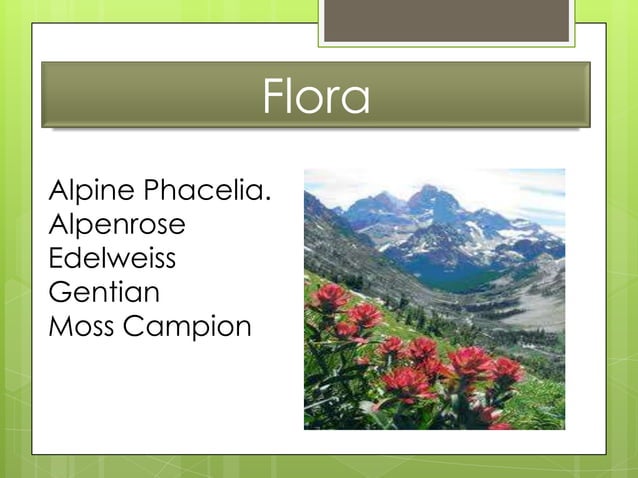 Alpine biome presentation | PPTX