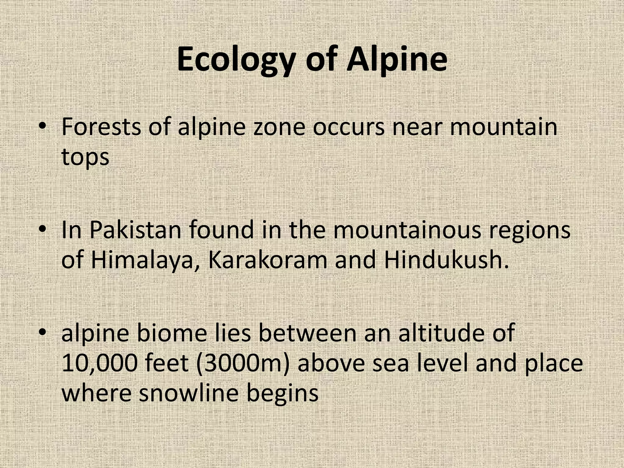 Alpine forest | PPTX