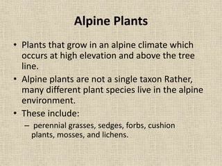 Alpine forest | PPTX | Geography | Science