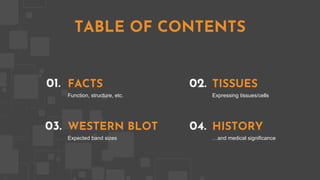 Learn ALPL in 3 minutes | Alkaline Phosphatase, ALP, TNAP | PPTX
