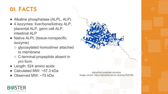 Learn ALPL in 3 minutes | Alkaline Phosphatase, ALP, TNAP | PPTX ...