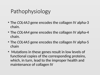 Alport’s syndrome (1) (1).pptx for students | PPTX