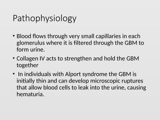 Alport’s syndrome (1) (1).pptx for students | PPTX