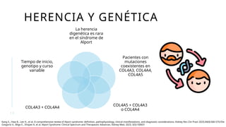 Síndrome de Alport y membrana basal delgada | PPTX