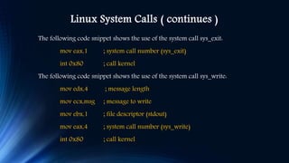 Introduction to Assembly Language Programming | PPTX