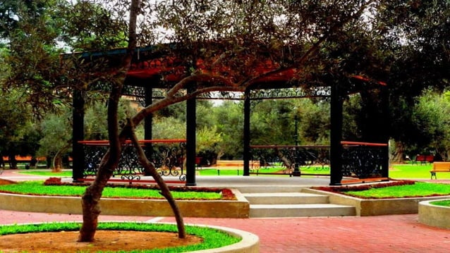 ALP PROJECT (BASIC 02) (DIAPOSITIVA) | PPTX