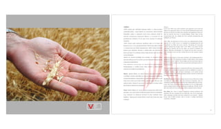 ALPTEKIN GROUP CATALOG | PDF