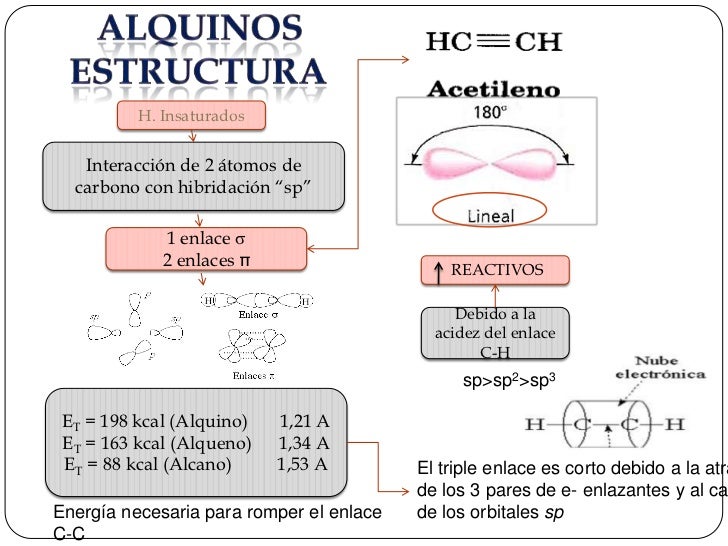 Ejemplos De Alquinos En La Vida Cotidiana - farez